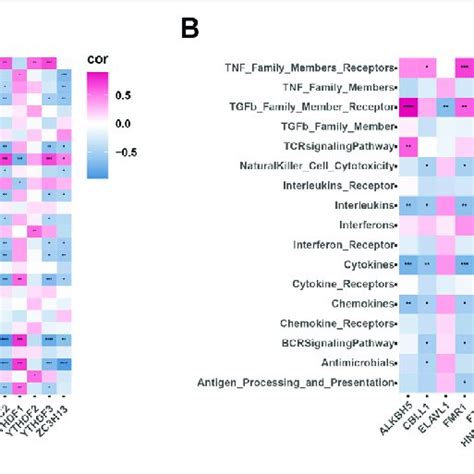 Correlation Of Infiltrating Immune Cells Immune Response Genes And