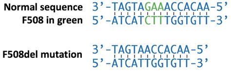 Crispr Basics