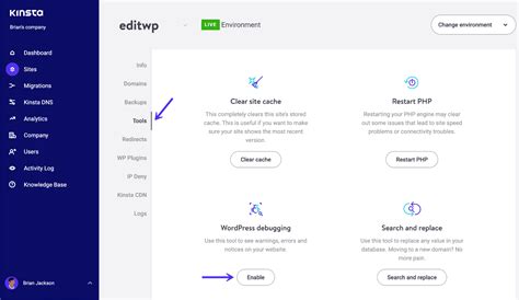 new wp debug tool search and replace 2 0 and mykinsta updates