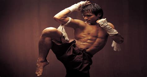 Best Martial Art Movies Ever The 100 Best Martial Arts Movies Of All