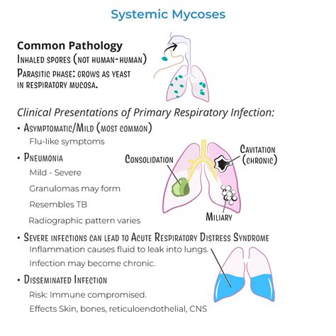 Immunology Microbiology Glossary Systemic Mycoses Ditki Medical
