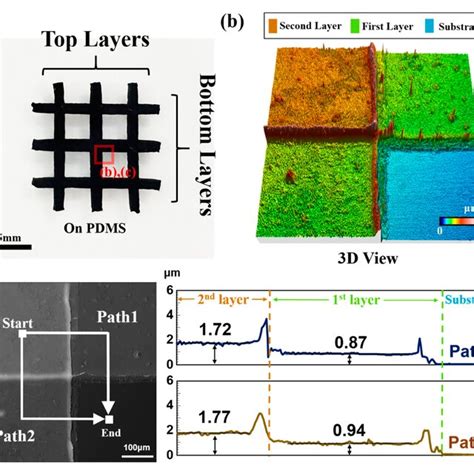 Three Dimensional 3d Analysis Of A 3d Swcnts Pattern A 3d Swcnt