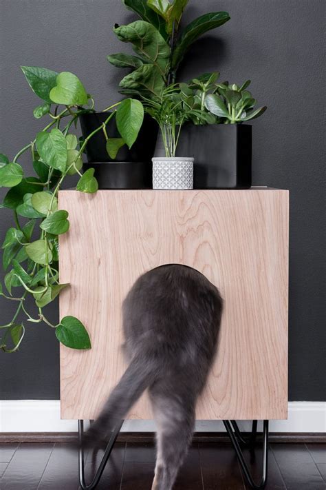 Indoor Cat House Build How To Build A Stylish Cat House Cat Houses