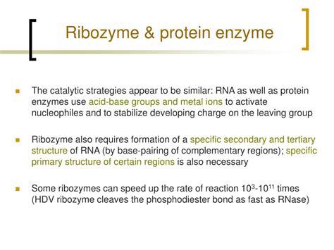 Ppt Ribozymes Powerpoint Presentation Free Download Id 845795