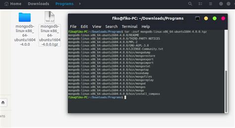 how to install and connect to mongodb on kali linux systran box