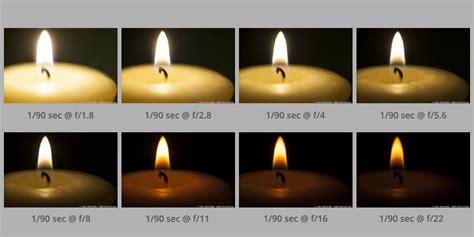 Aperture In Photography Defined Bandh Explora