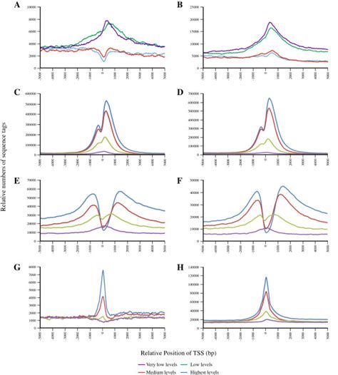 Distribution Of The Histone Modification Marks And Rna Polymerase Ii