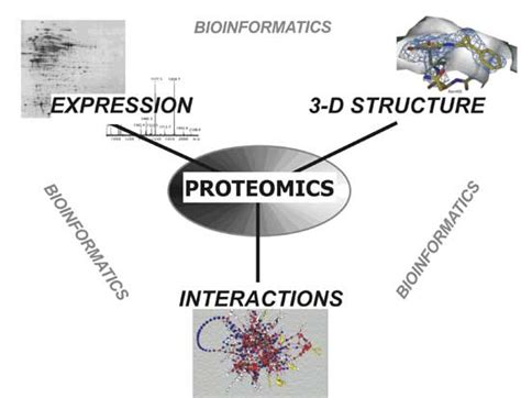 Difference Between Proteomics And Transcriptomics Compare The