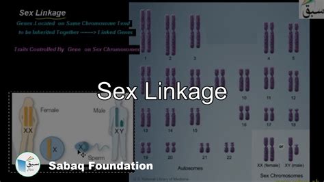 Sex Linkage Biology Lecture Sabaq Pk Youtube
