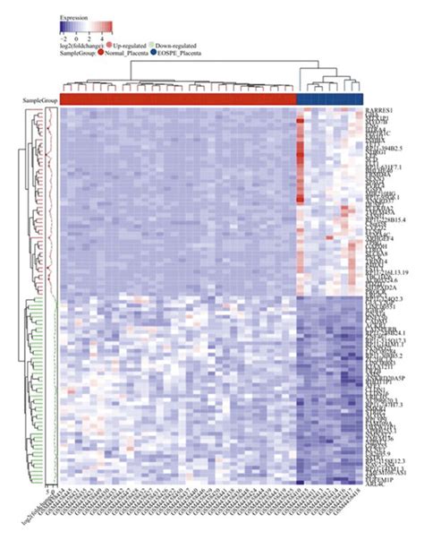 The Expressions Of Differentially Expressed Mrnas And Mirnas Volcano