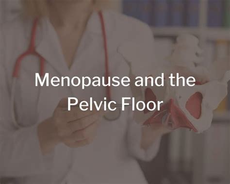 Menopause And The Pelvic Floor Reconnect Online Streaming