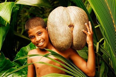 99 Wow The Forbidden Fruit Trees With Genitalsالثمرة المحظورة أشجار