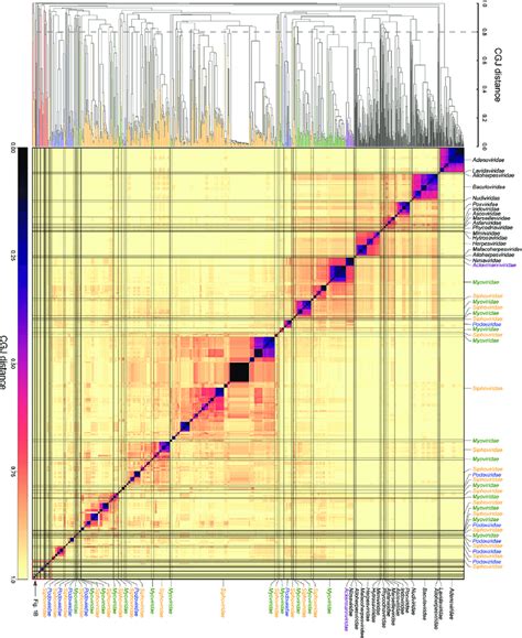 A Heat Map And Dendrogram Of Dsdna Viruses Using Pairwise Composite
