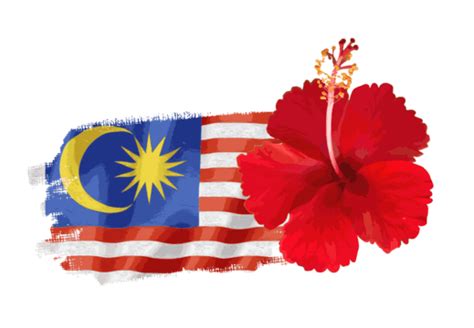 Malaysia Hibiscus Malaysia Hibiscus Flower Malaysia Flower Png And