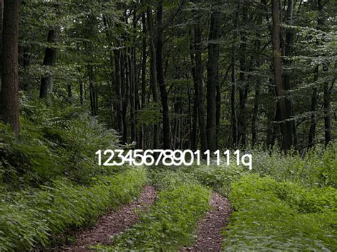 write text on images in real time using opencv python