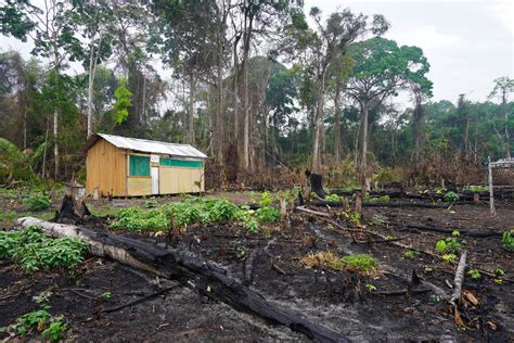 [fotos] Santa Rey La Comunidad De Purús Que Huyó De Los Indígenas En