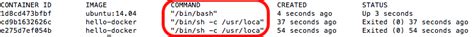 bash dockerfile cmd instruction will exit the container just after