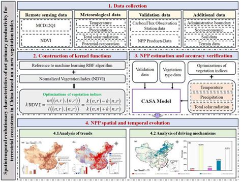 Remote Sensing Free Full Text Net Primary Productivity Estimation