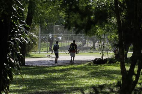 Concessão Dos Parques Redenção E Marinha Será Tratada Em Audiência Pública
