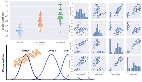 exploratory data analysis and hypothesis testing iris dataset
