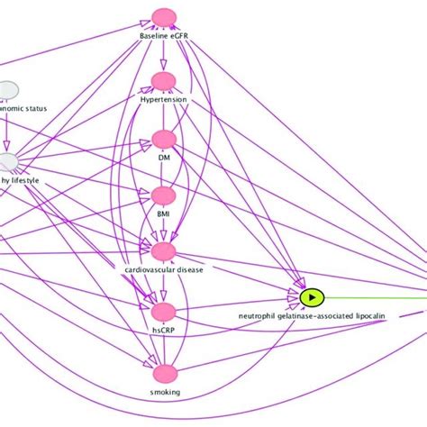 Direct Acyclic Graph Dag Demonstrating The Hypothesized Causal