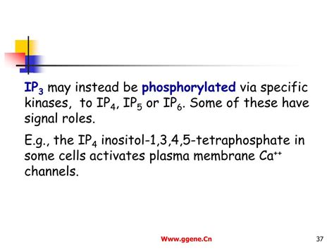 Ppt Cellular Signal Transduction Pathway Powerpoint Presentation