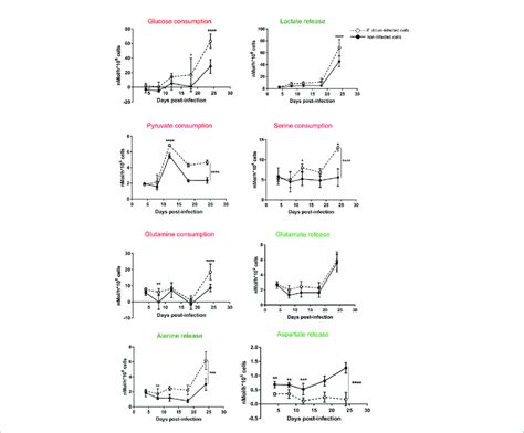 E Bovis Infection Modulates Metabolic Responses In Host Endothelial