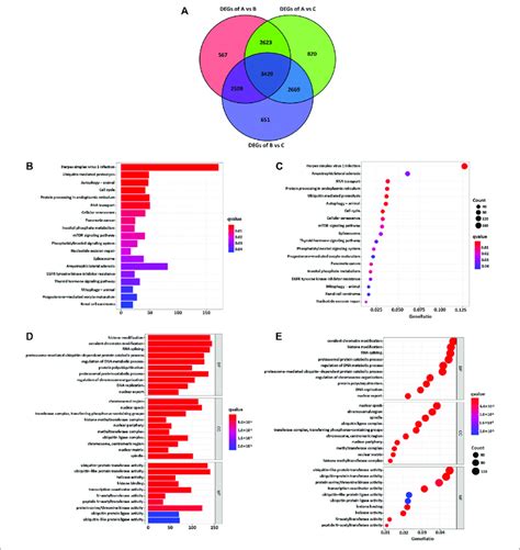 A 3426 M6a Subtype Related Genes Presented In The Venn Diagram The
