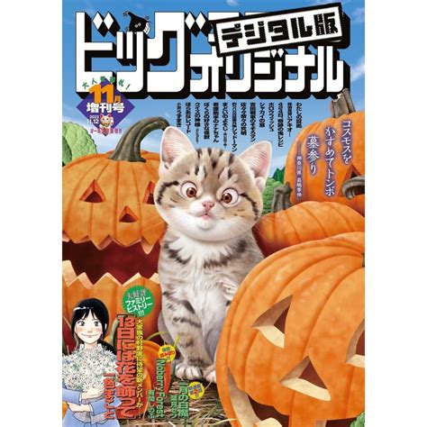 ビッグコミックオリジナル増刊 2023年11月増刊号 2023年10月12日発売 電子書籍版 B00164489755