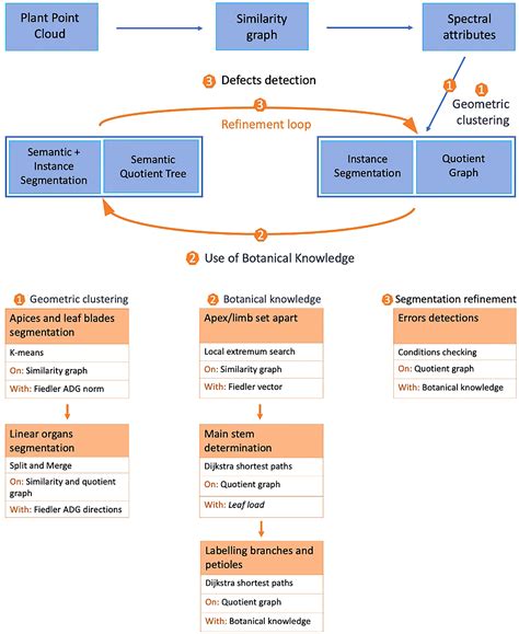 Frontiers A Graph Based Approach For Simultaneous Semantic And