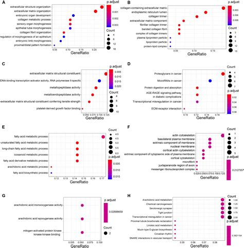 Frontiers Identification And Validation Of Potential Pathogenic Genes