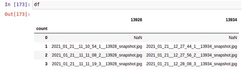 python 3 x how to create a dataframe from a list that each column is