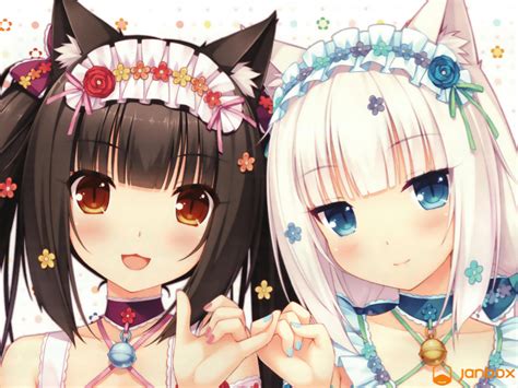 25 Best Cute Anime Cat Girl Of All Time [updated]