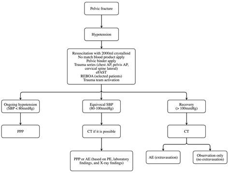Healthcare Free Full Text Preperitoneal Pelvic Packing Versus