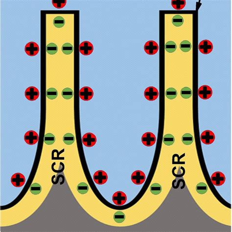 The Ph Values Of The Nacl Kcl Cacl2 And Mgcl2 Solutions Along The