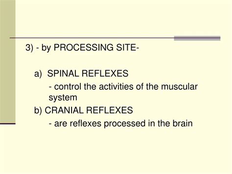 Reflex Arc Flowchart