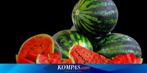 5 Khasiat Buah Semangka Salah Satunya Menghidrasi Tubuh