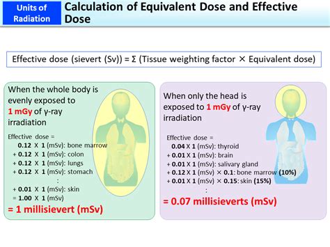 Calculation Of Equivalent Dose And Effective Dose [moe]