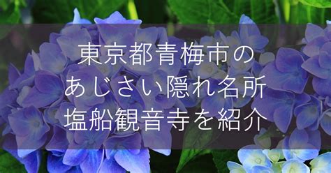 東京都青梅市のあじさい隠れ名所｜塩船観音寺を紹介 ともみの自由帳