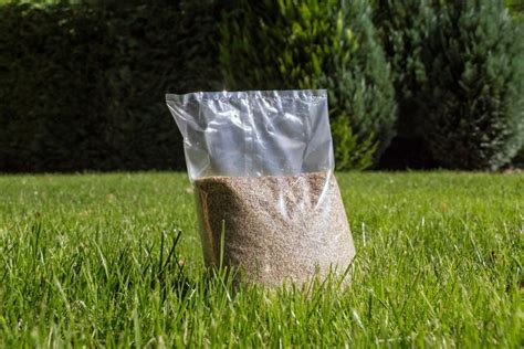 How To Rake In Grass Seed [step By Step Guide]