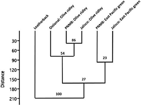 hierarchical cluster analysis using ward s method for the