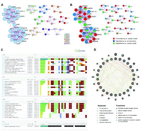 Key Candidate Genes And Ppi Network Analysis A Interactions Among