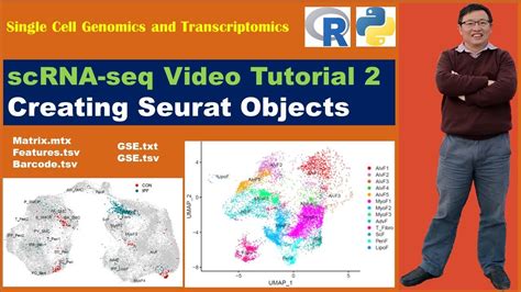 Seurat Video Tutorials Video 2 Creating Seurat Objects Youtube