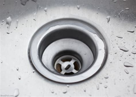 Clogged Kitchen Sink Black Sludge Wow Blog