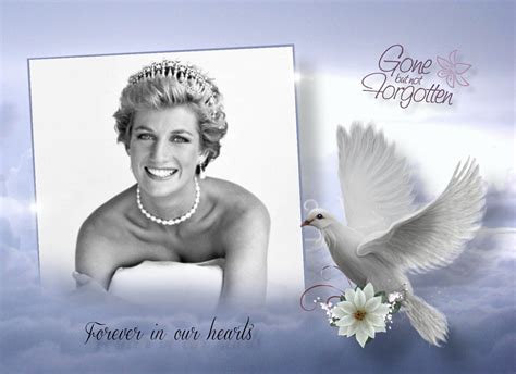 Elizabeths In Memory 🌤 In Memory Loss Never Forgotten In Memory