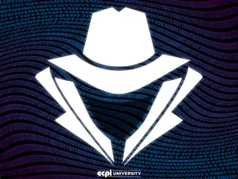 how to become a white hat hacker what education do i need