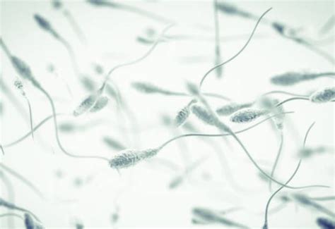 Pourquoi Mon Sperme Est Il épais Ou Gélatineux Nos Explications