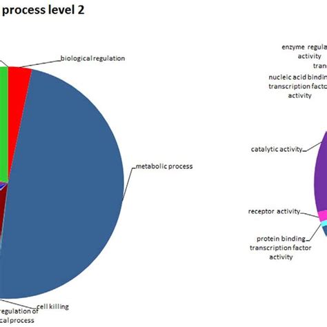 tissue and sex specific expression profiles of m cingulum grs and irs