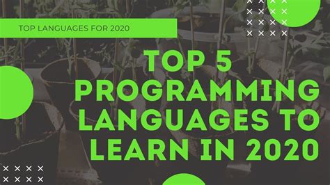 top 5 programming languages to learn in 2020