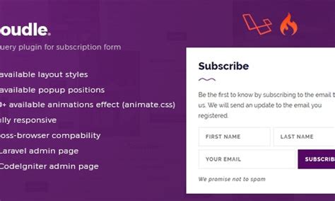 soudle js jquery plugin for subscription form laravel and codeigniter